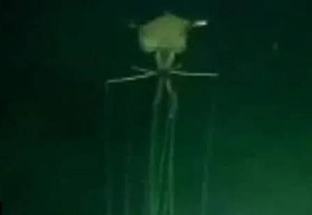 Mergulhadores acham bolha 'alienígena' em mar na Noruega