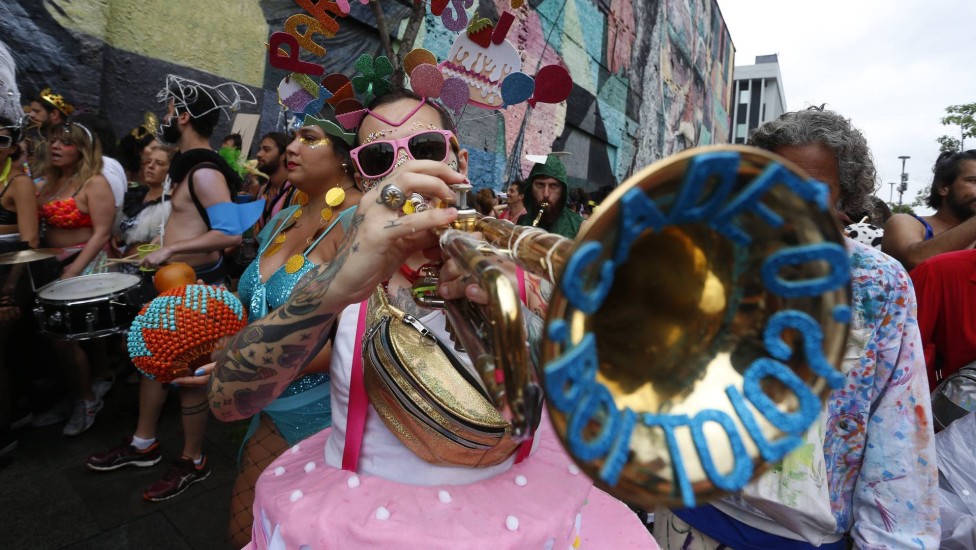 Veja fotos do desfile do Boi Tolo