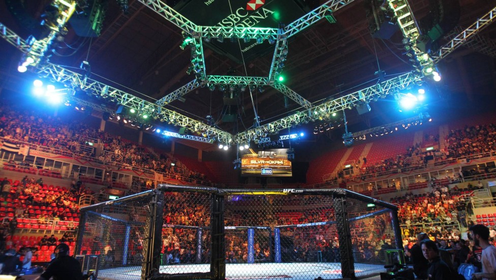 Confira as imagens do UFC 134 Rio