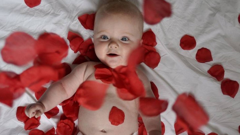 Veja imagens dos bebês que conquistaram o mundo... na Internet!