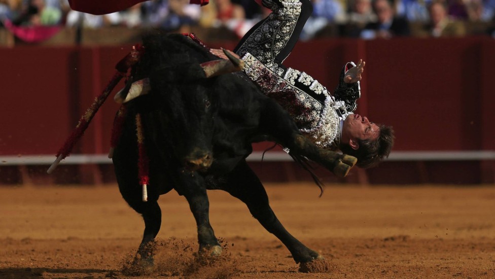 Toureiro leva chifrada em arena na Espanha