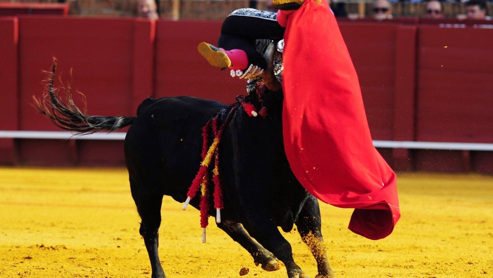 Toureiro leva chifrada em arena na Espanha