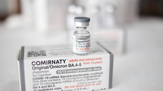 Covid-19: vacina bivalente começa a ser aplicada a partir de segunda ...