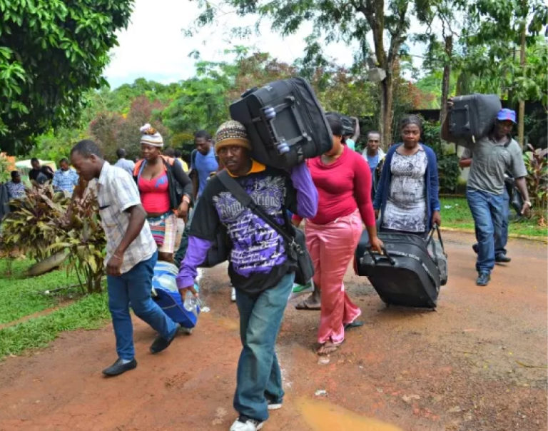 Imigração no Brasil: da tradição às novas ondas migratórias, toda ...